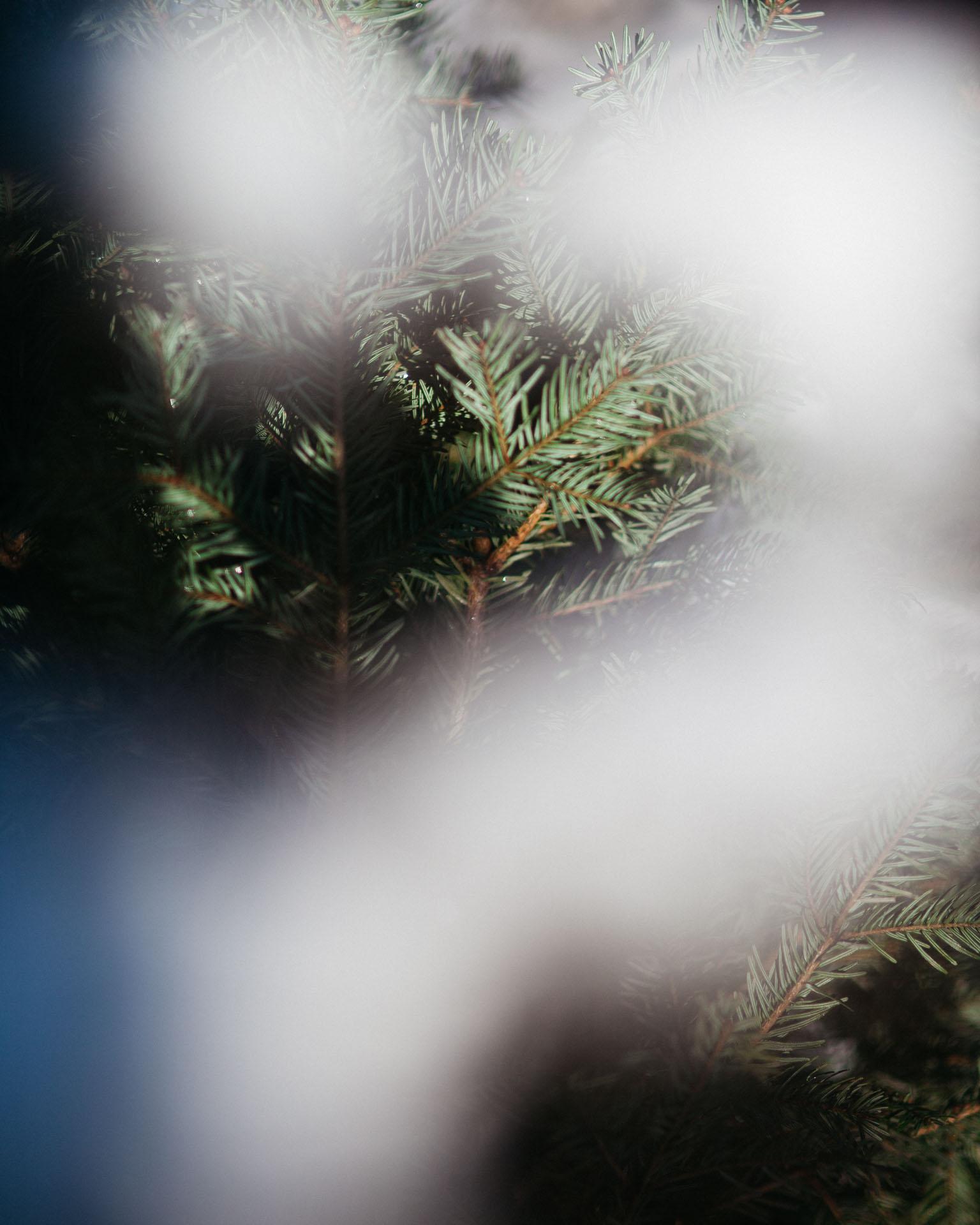 Hi! | NodeBB Community